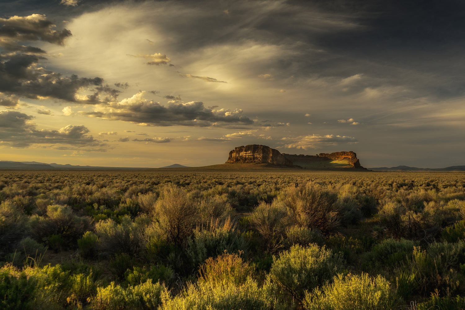 Oregon Wild Outdoor Photo Contest 2022 – Pro Photo Supply